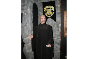 Lord Voldemort From Harry Potter
